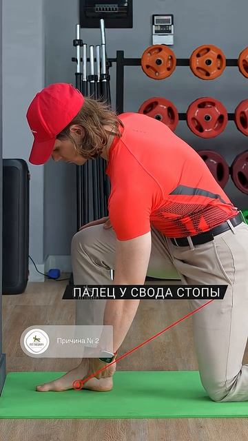 Почему болят колени _ тест