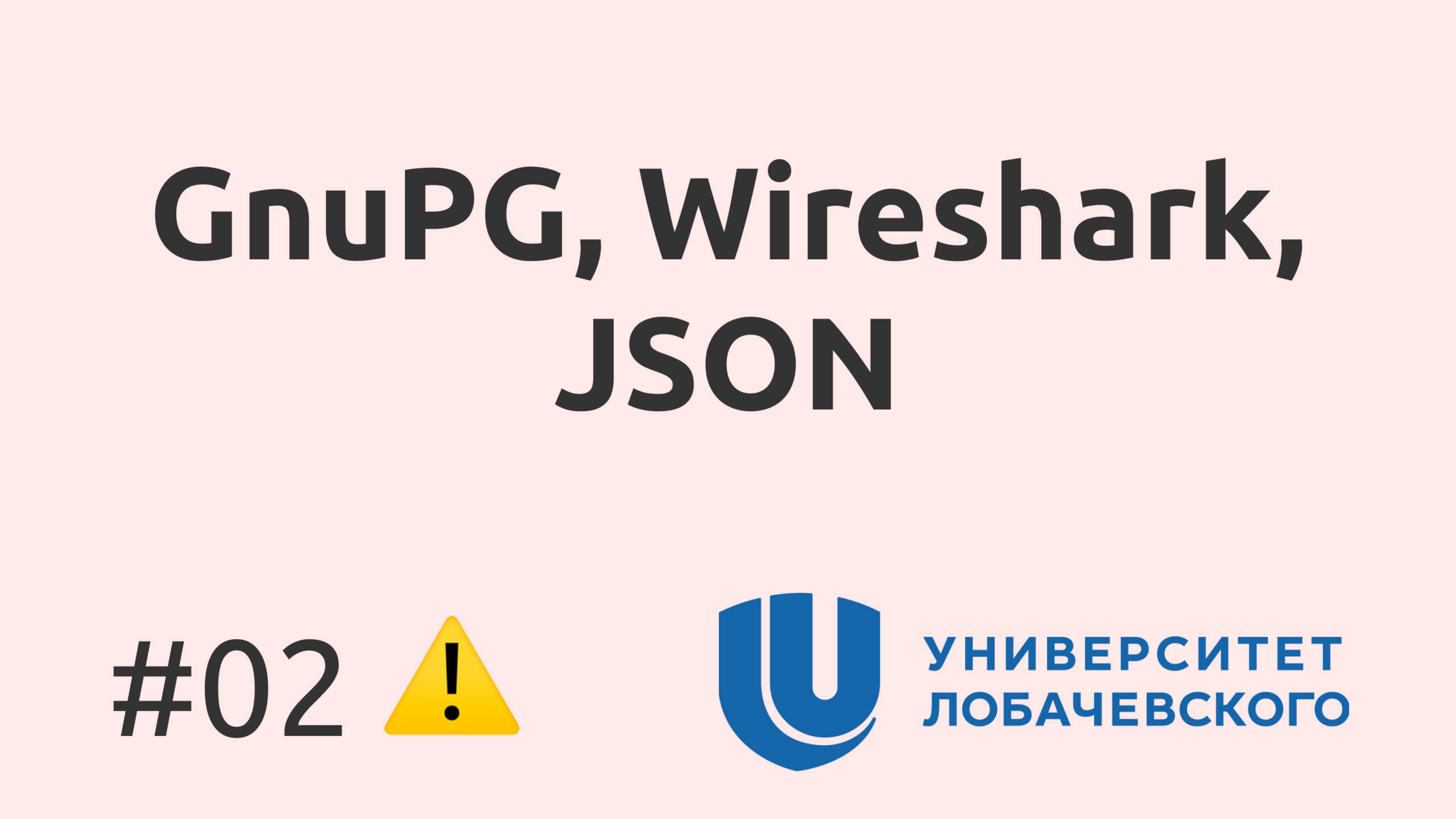 02. Защищенная передача данных GnuPG. Просмотр трафика Wireshark. JSON.