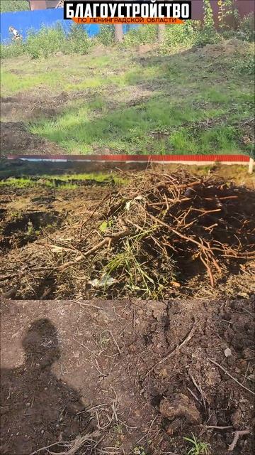 Всеволожск. Новый объект 🌿🚜