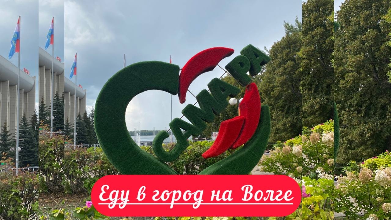 Киров-Самара| 15 часов на автобусе| Самарский зоопарк