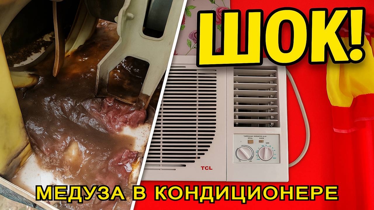 Чистим кондиционер с моей филиппинкой. Кто живет внутри кондея и чем мы дышали?