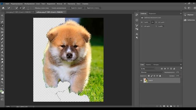 Удаление фона с картинок в фотошопе