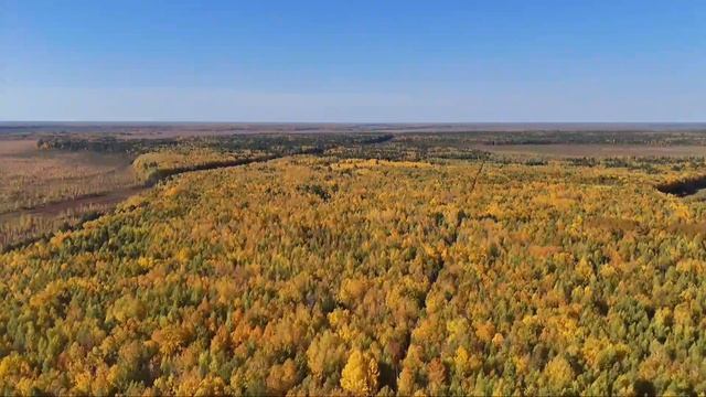 Летаю у деревни