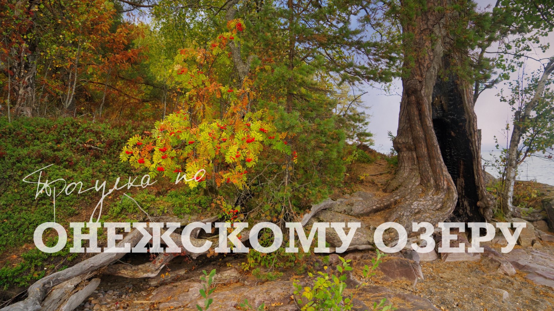ОСЕНЬ НА ОНЕЖСКОМ ОЗЕРЕ