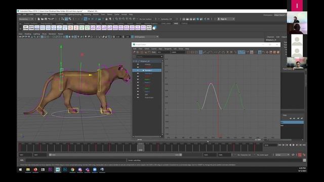 2. Big Cats - Lion Walks