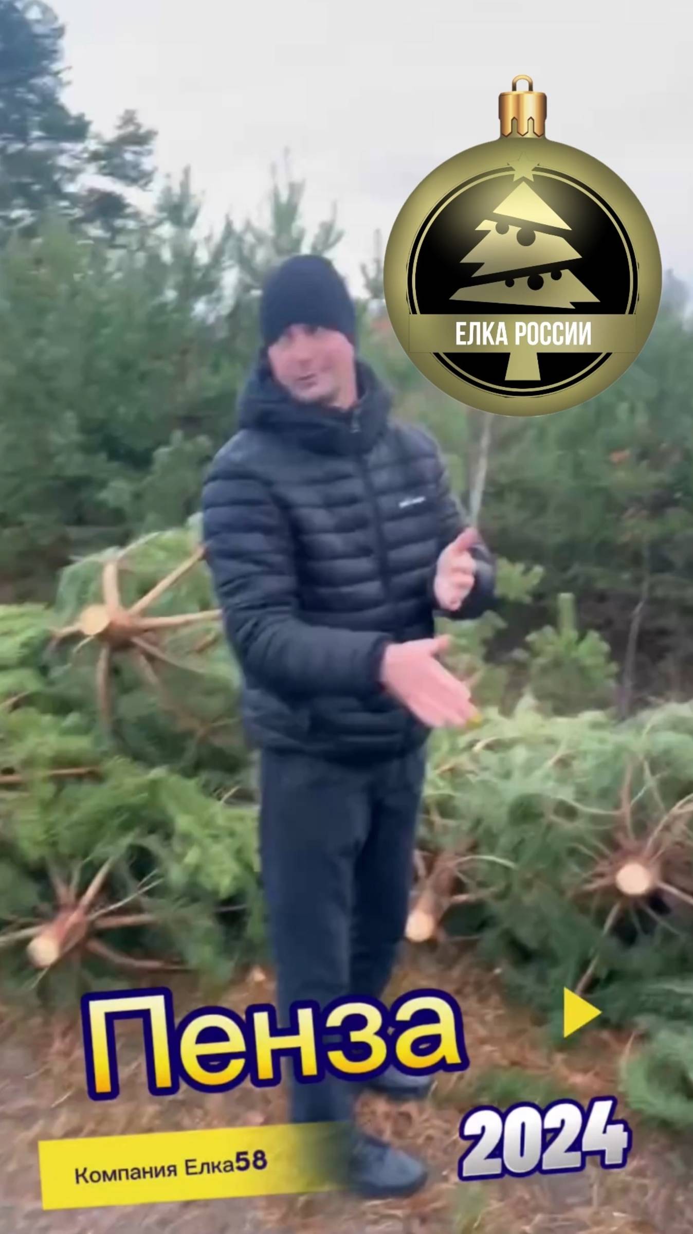 🎄Новогодняя Елка оптом | видеоотзыв ПЕНЗА