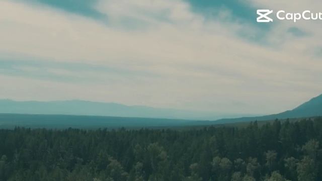 Антонова Екатерина1