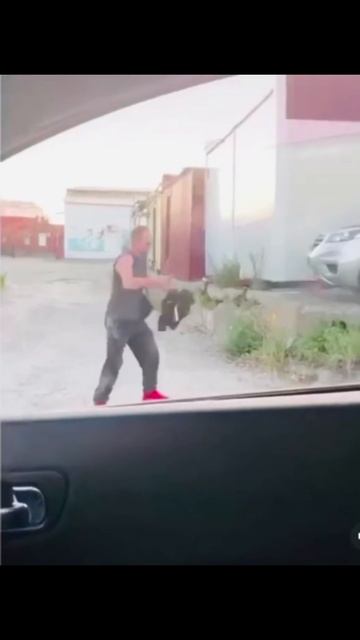 Гравитация в HUMAN