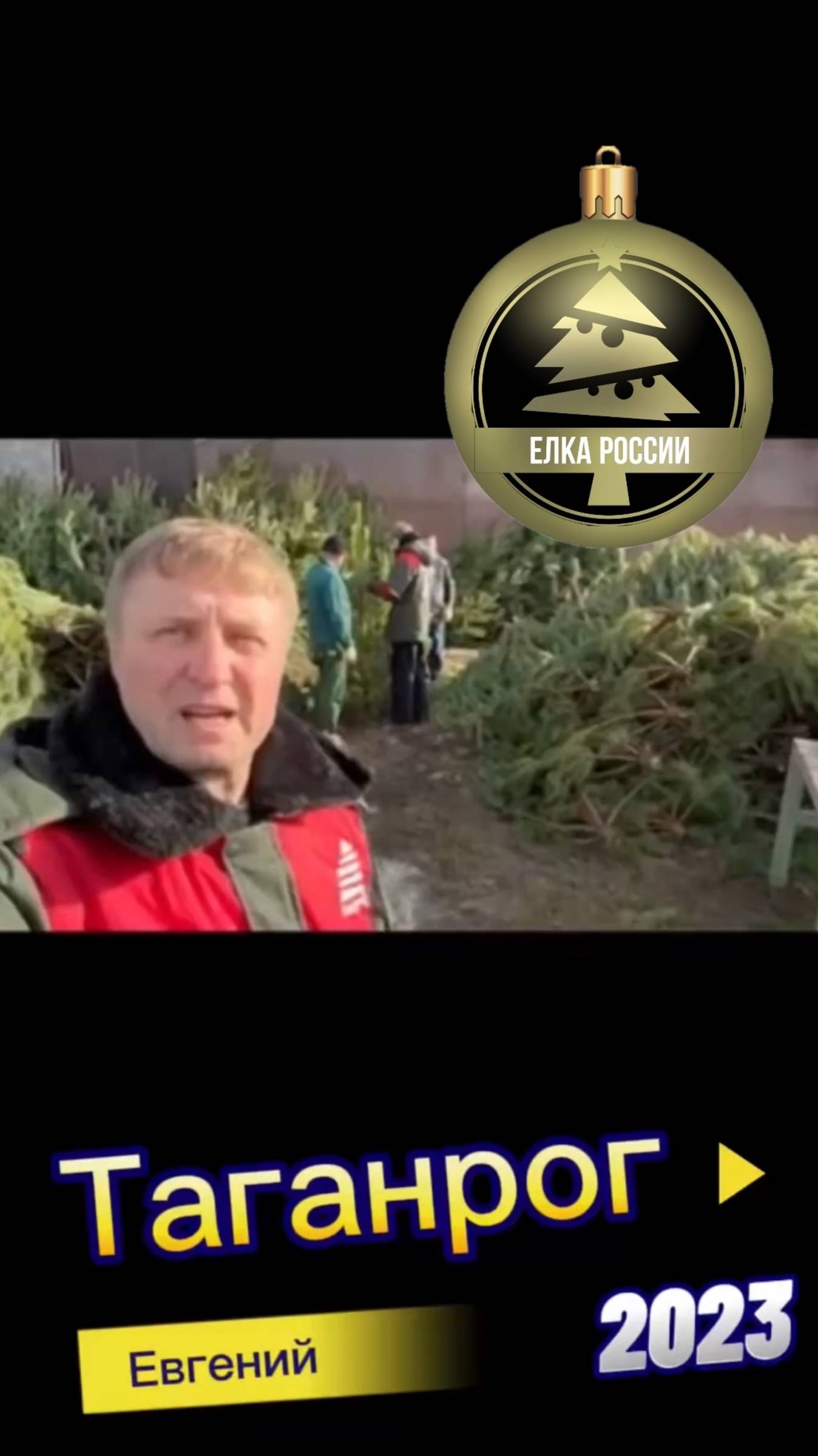 🎄Новогодняя Ёлка оптом | видеоотзыв ТАГАНРОГ