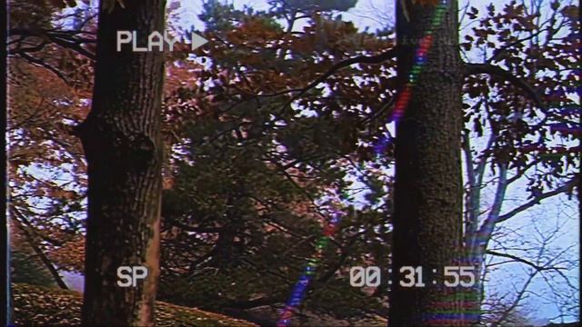 𝗔𝗨𝗧𝗨𝗠𝗡𝗖𝗢𝗥𝗘 𝟭𝟵𝟴𝟬𝘀 ⧸⧸ Vaporwave Synthwave Nostalgia Mix