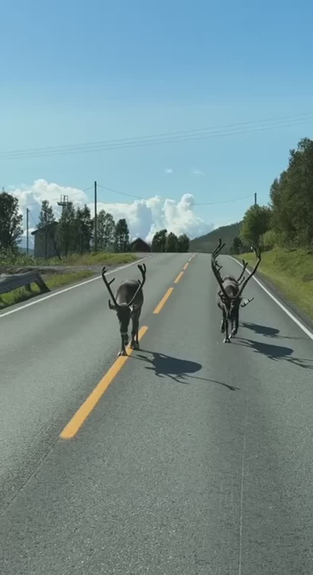 Норвежское Заполярье