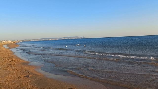 Чайки отдыхают на море .Витязево 22.09.2025