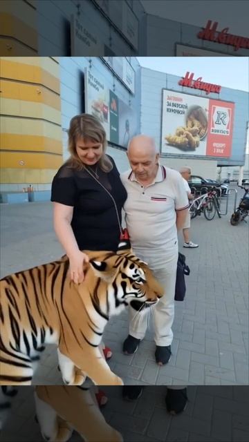 Милый итигр не пошёл в ресторан