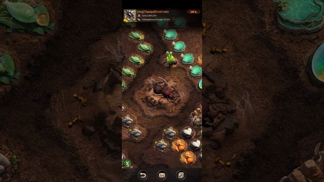 The Ants 🐜 (12) Вип 4 и Три шикарных камня 👀👍🐜