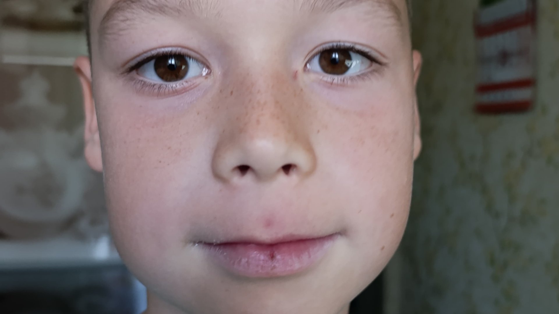 СМЕШНАЯ ОЗВУЧКА🤣