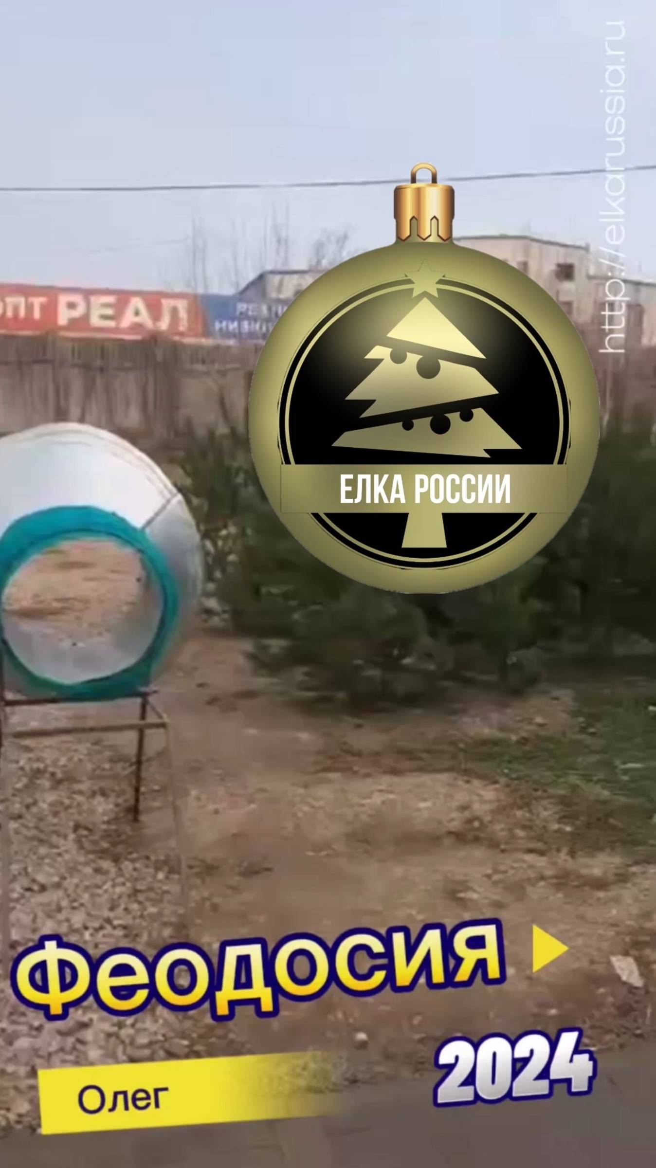 🎄Новогодняя Елка оптом | видеоотзыв ФЕОДОСИЯ