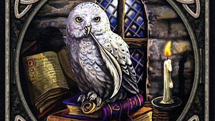 Вам Вселенная знаки подает