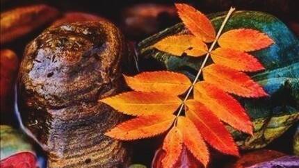 ОКТЯБРЬ--РЫБЫ(таро)