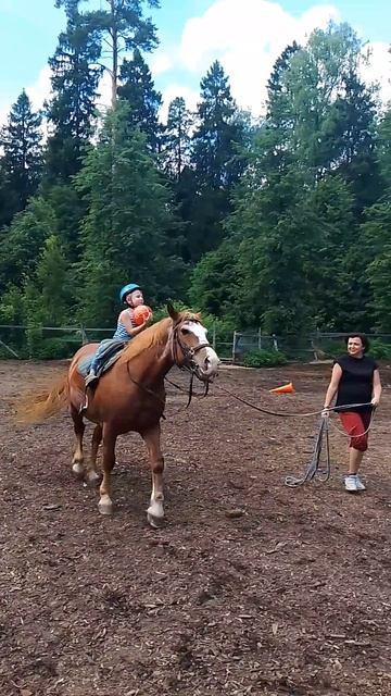 Конный клуб Бородино, Мытищи 09.06.2024