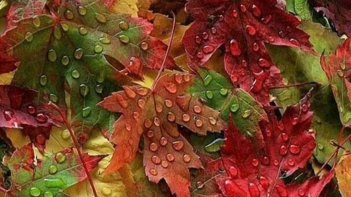 ОКТЯБРЬ--СКОРПИОН(таро)