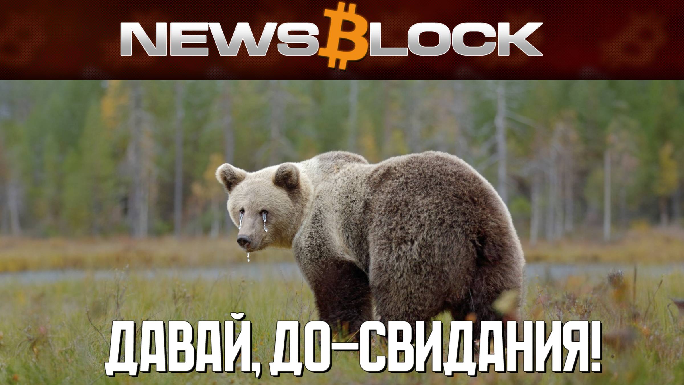 Медвежий Рынок - Отменяется. И Вот Почему