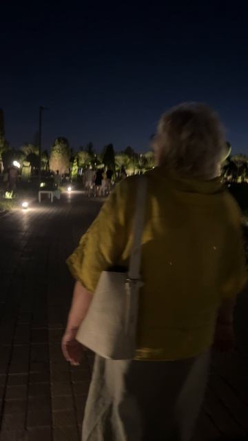 В парке Галицкого ночью освещается каждый метр #парккраснодар #паркгалицкого