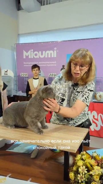 Султан у экспертов WCF  21 и 20 сент.2025