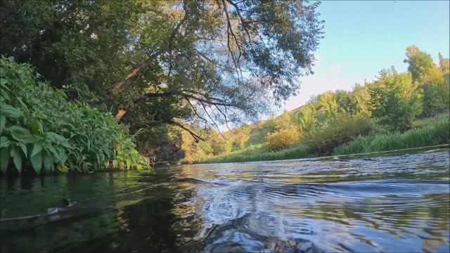 Куликово поле. Река Непрядва. Подводный мир
