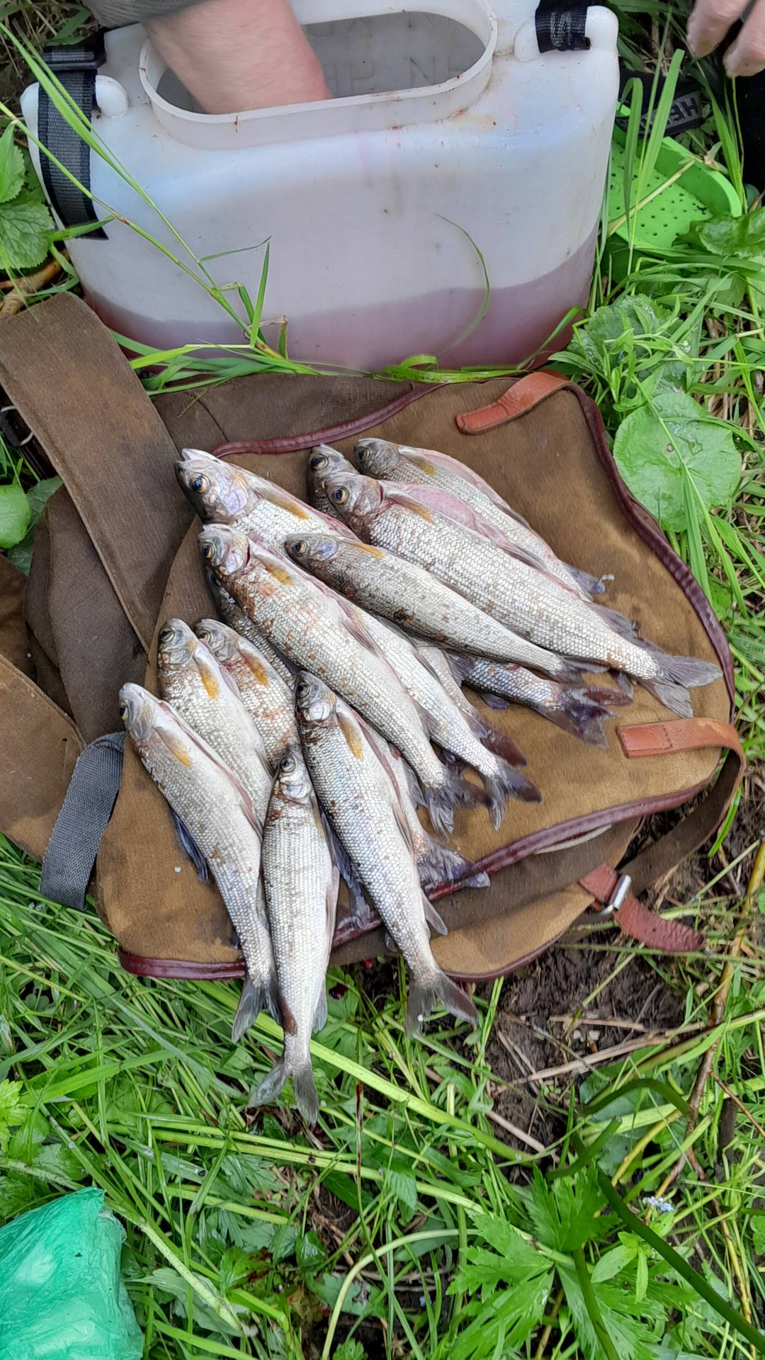 Шашлычок из харюска вкусно очень🤣🤣 (1)