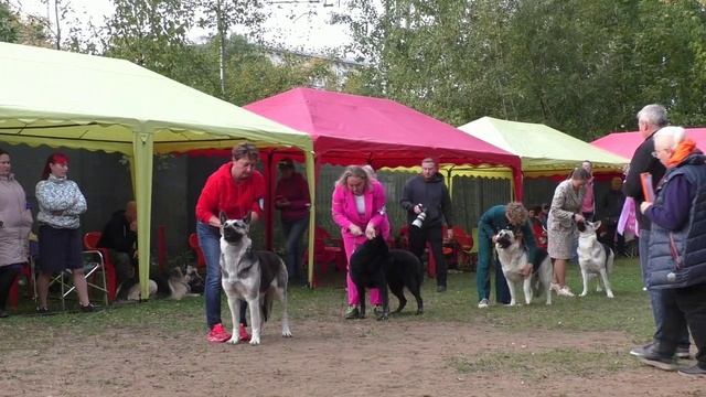 Сравнение на ЛС