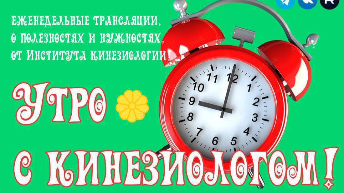 УТРО С КИНЕЗИОЛОГОМ