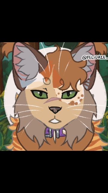 Рубрика моя ос/что любит моя ос?