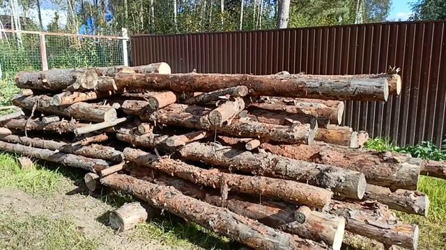 Новый участок.Дрова.Грибы в сентябре.