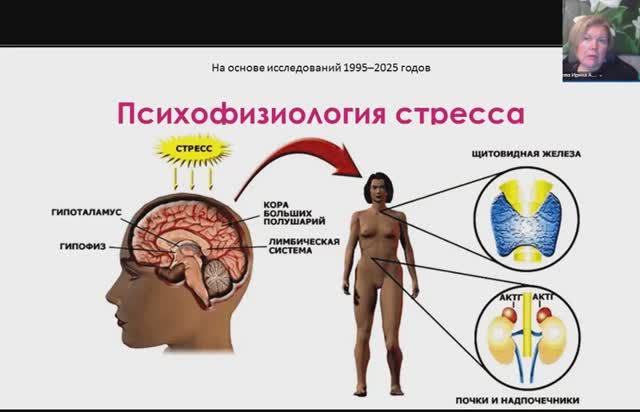 Новая группа с 28.09.2025 по коучингу! Курс в подарок: Работа со стрессом. Психофизиология стресса