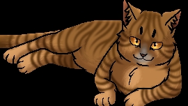 цепь имен кв