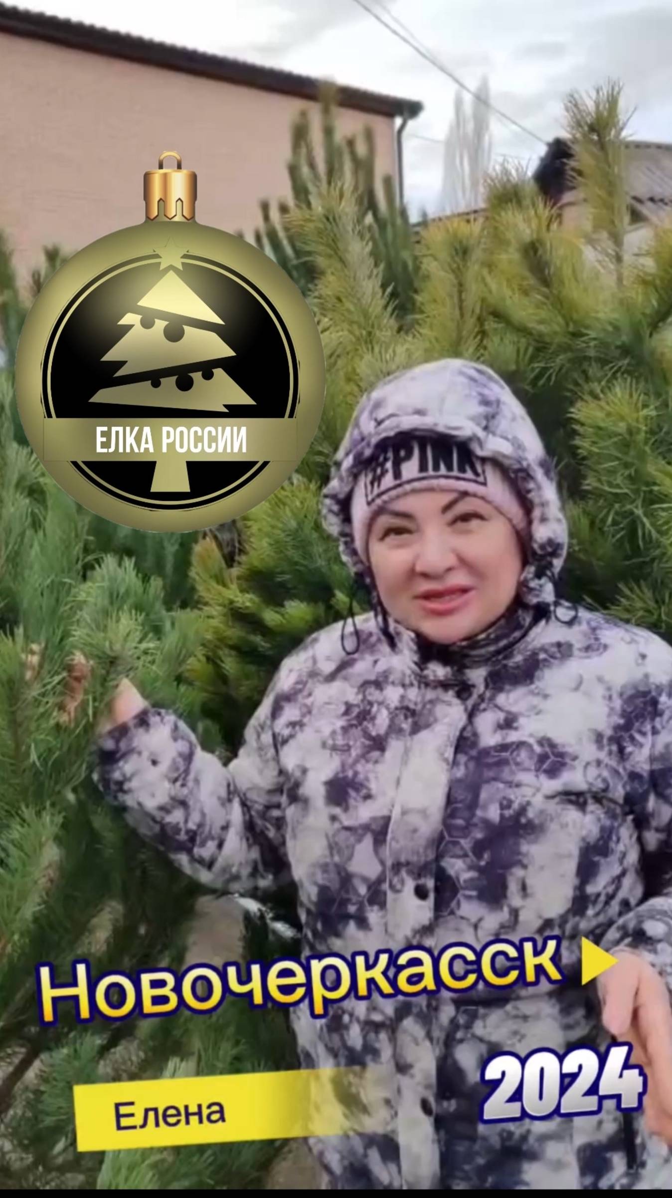 🎄Новогодняя Елка оптом | видеоотзыв НОВОЧЕРКАССК