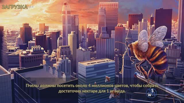Пчелка: Веселая Ферма!