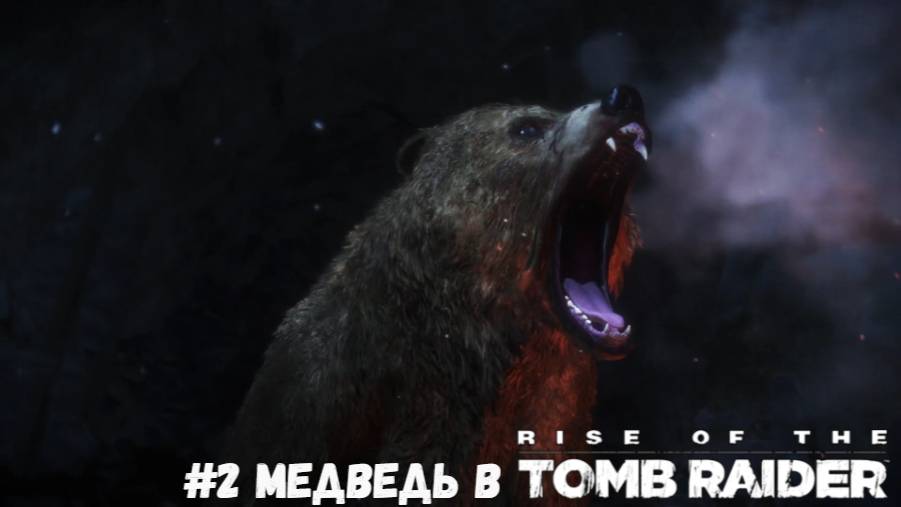 #2 Медведь в Rise of the Tomb Raider
