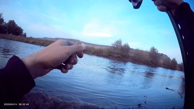Сегодня немного порыбачил на речке в проводку на поплавок🎣 Наживка опарыш. Прикормка Стерля