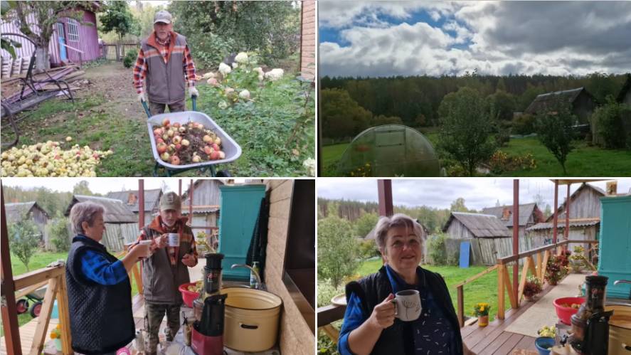 ЯБЛОКИ,ЯБЛОКИ,ЯБЛОКИ,ЯБЛОКИ,ЯБЛОКИ... УЖЕ ОТ НИХ ТОШНИТ И НАС И КУРЕЙ.