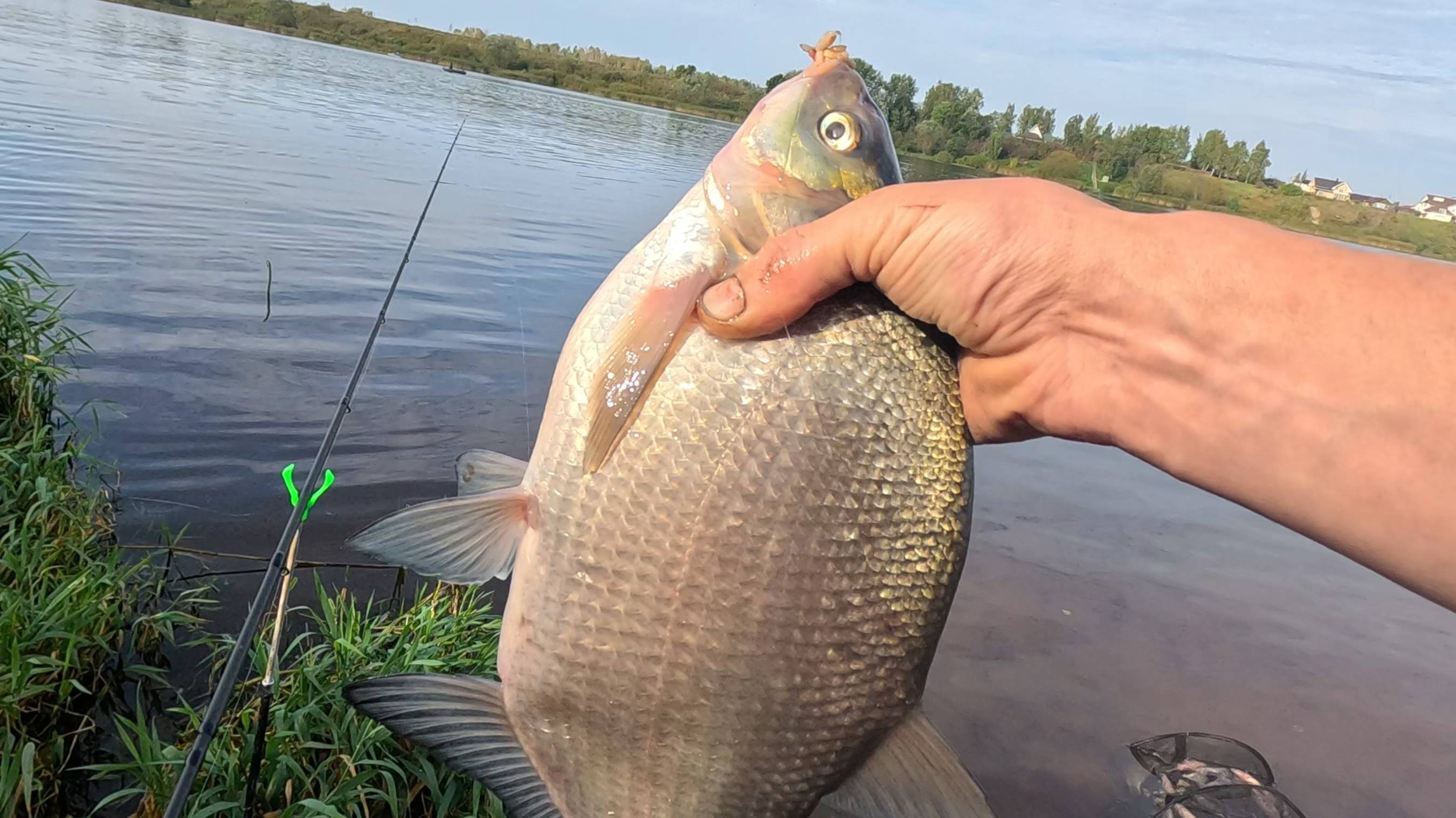 ОСЕННИЙ ФИДЕР, РЫБАЛКА НА ЛЕЩА В СЕНТЯБРЕ.