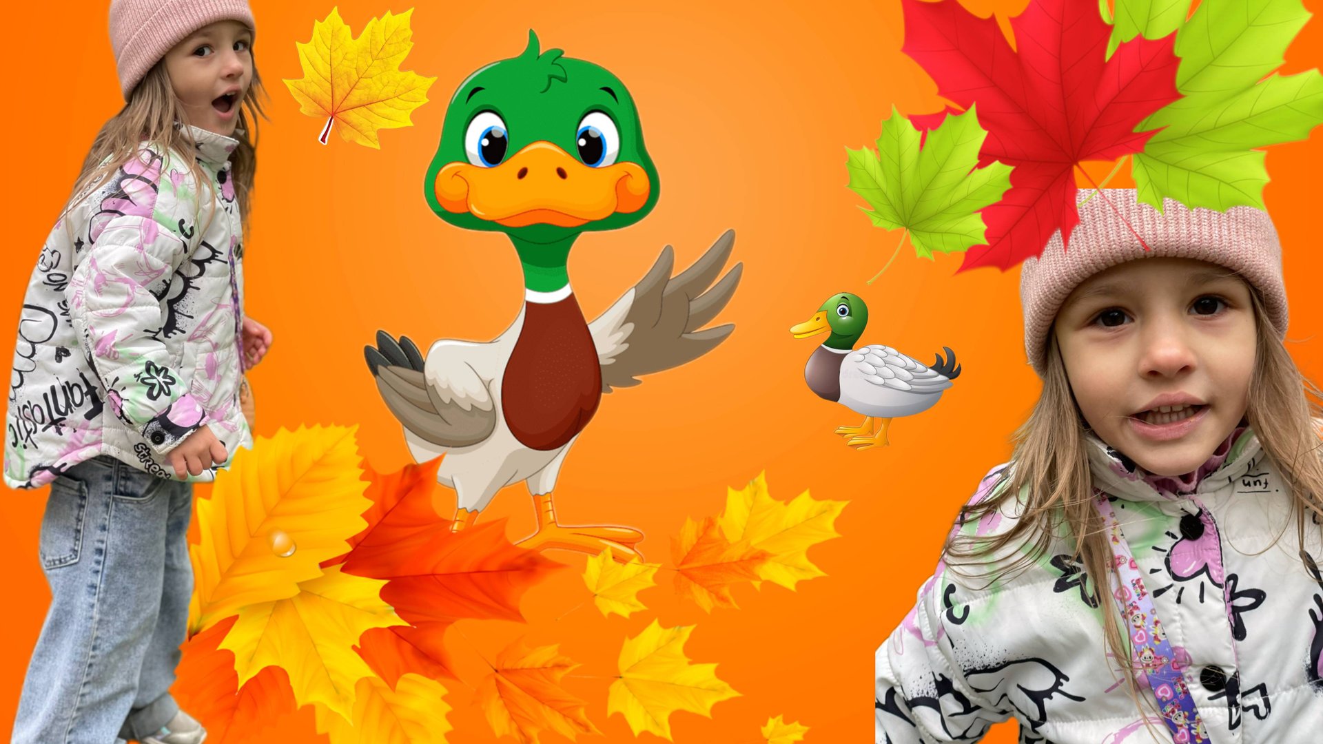 Дикие утки стали ручными!