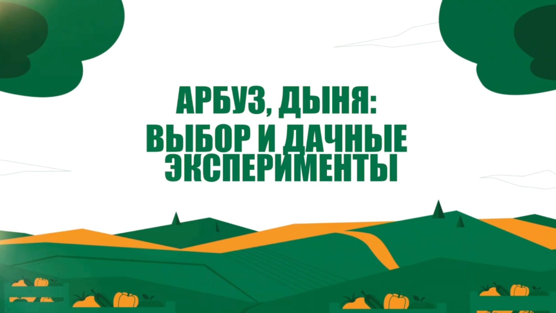 Арбуз, дыня: выбор и дачные эксперименты