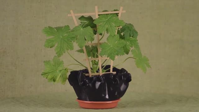 Стапель для виниловых пластинок.