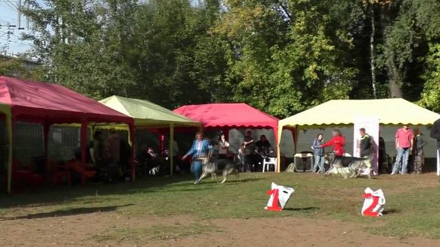 Класс рабочий