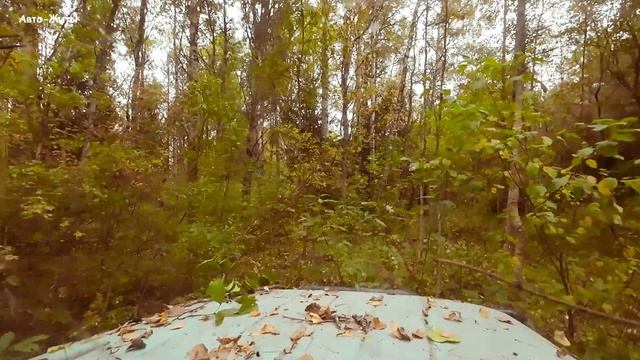 Автомобильно-поисковое, на УАЗе от 19.09.25