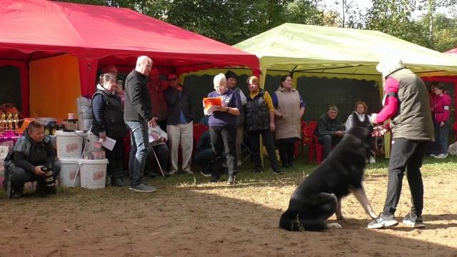 РА Комбриг Крах