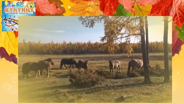 20  Михайлов В С