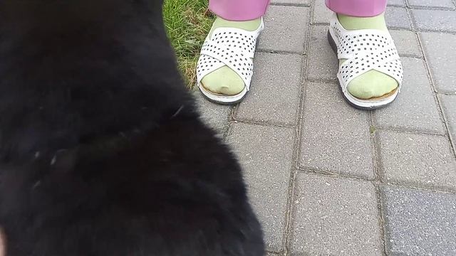 КОТЕЙ ЮЛИЙ.