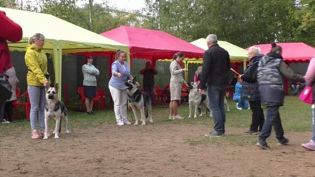 Сравнение на ЛПП